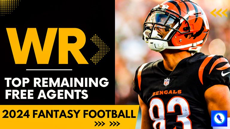 Top Remaining NFL Free Agent Wide Receivers (2024) | Fantasy News